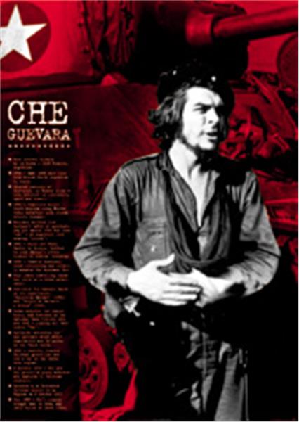 Che Guevara Facts Poster