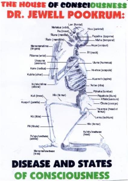 Dr. Jewel Pookrum "Disease & States of Consciousness"