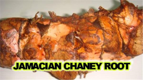 Chaney Root (Jamaican)